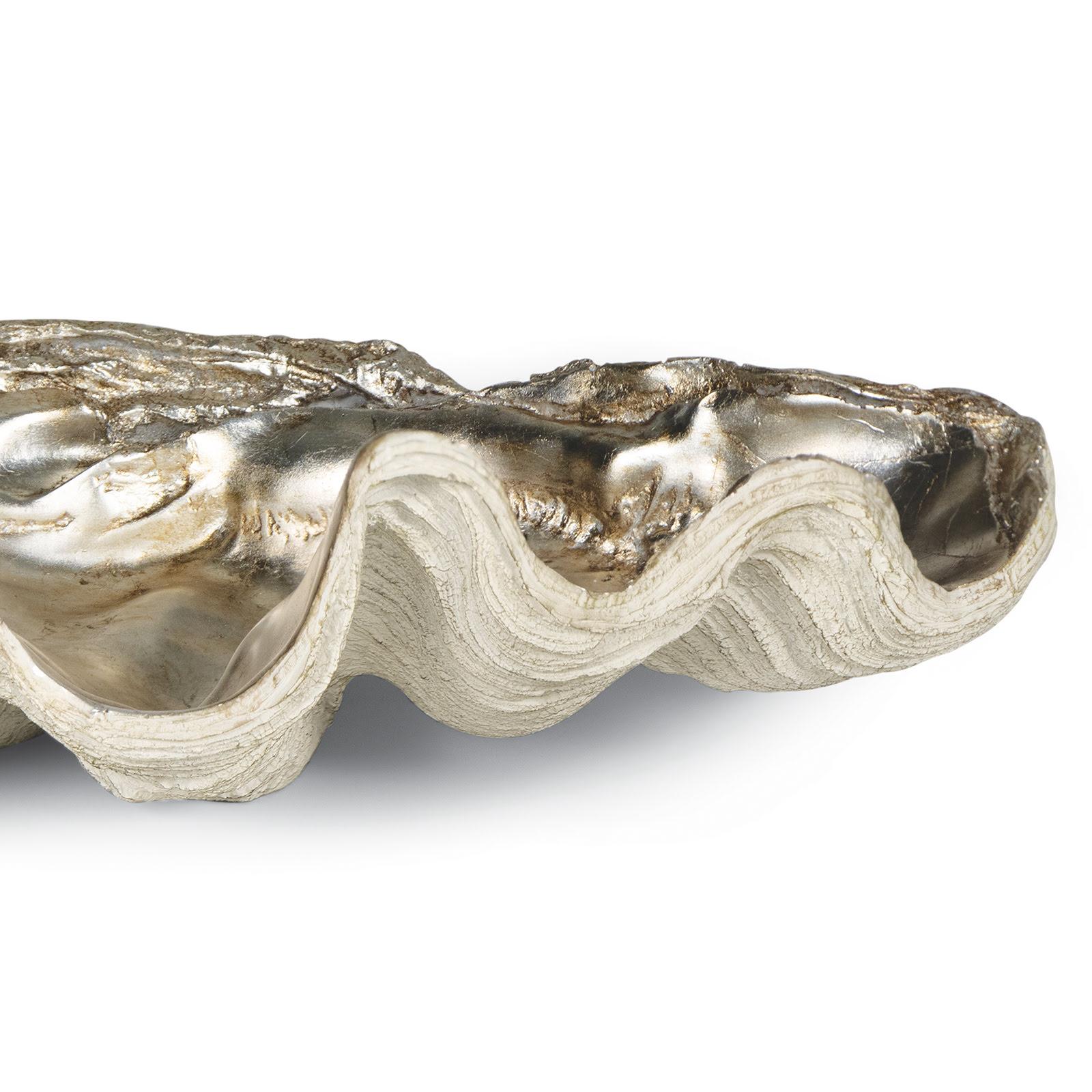 Giant clam shell bowl store